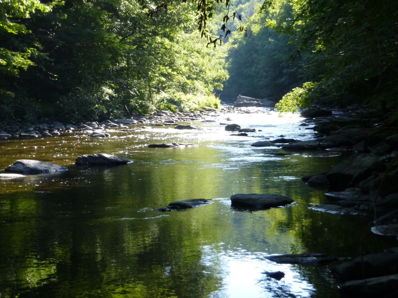 Henry David Thoreau Suspension Bridge - Seattle Bridge Builders LLC